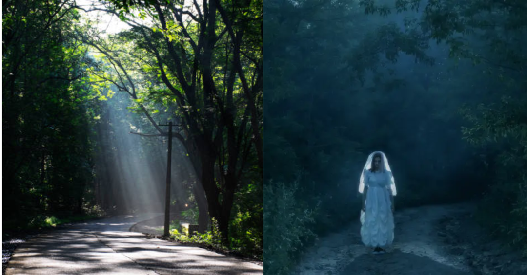 This Indian National Park Is Believed to Be Haunted. Did You Know About ...