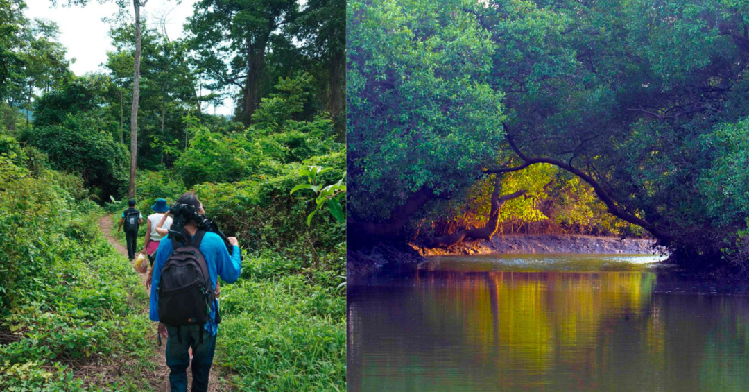 GFDC Takes the Lead in Responsible Tourism Management for Goas Forests ...