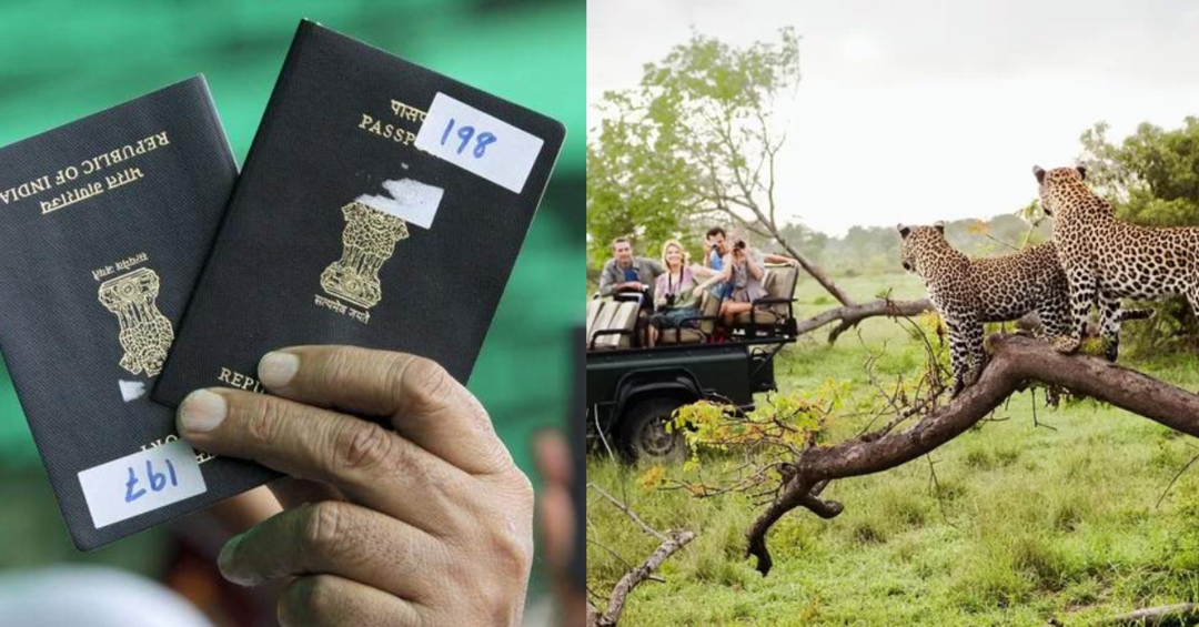 9 Visa-Free Wildlife Safari Destinations To Book Around The World With ...