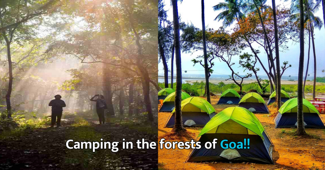 Goa Plans Eco-Tourism and Camping Grounds in Forests - Tripoto
