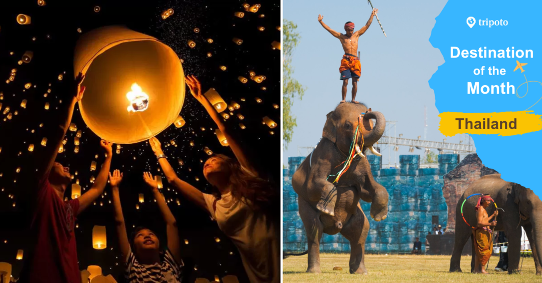 6 Eclectic Festivals That You Must Attend in Thailand This November ...