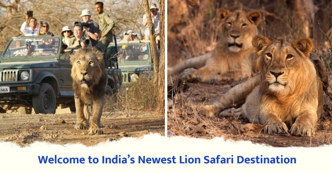This Place In The East of India Is All Set To Be The Next Top-Tier Lion ...