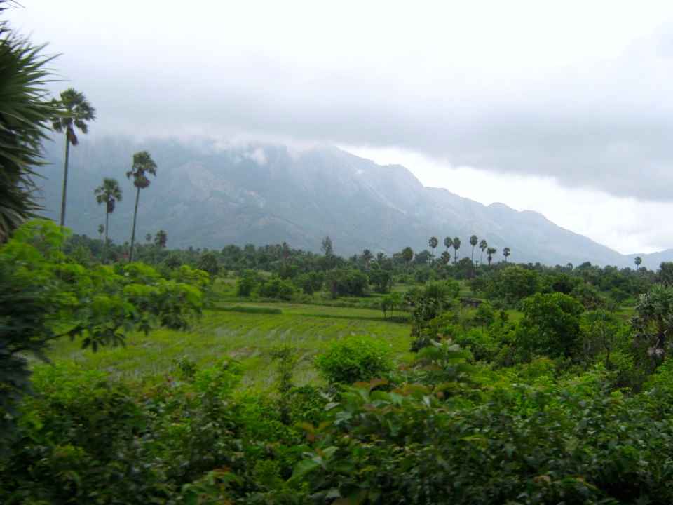 Manjapra, a little-known village in Gods own country - Tripoto