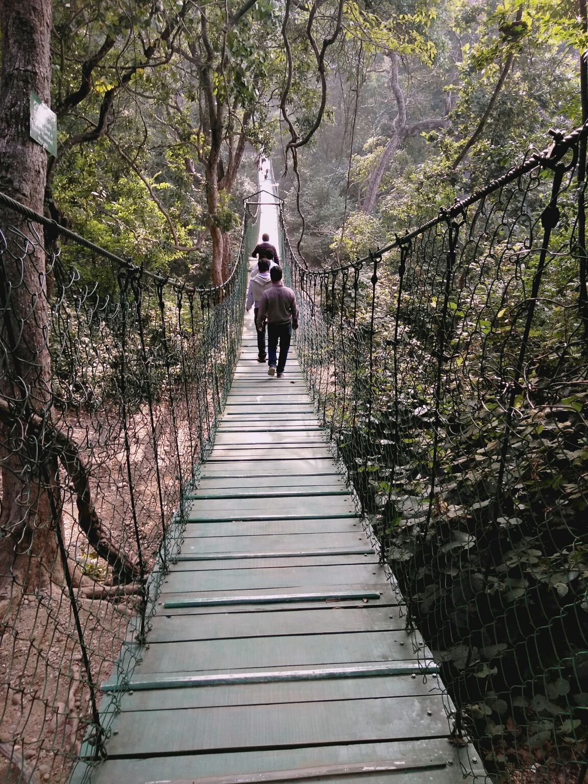 Valmiki Nagar Tiger Reserve- Unexplored Haven by Nageshwar Pandey | Tripoto