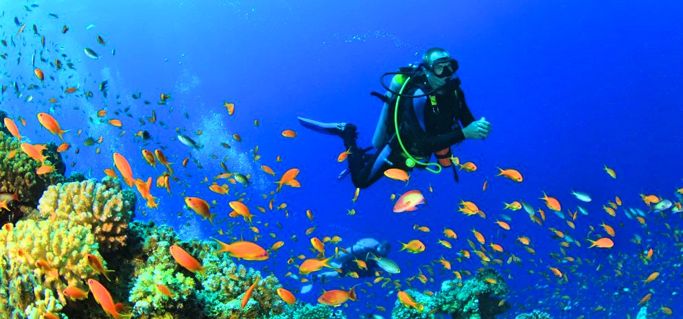 Scuba Diving in Maldives (2018), Guide to Top Scuba Diving Sites in ...