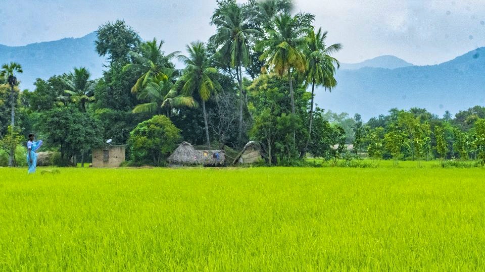 A Day Trip From Chennai To The Surreal Countryside Of Tamil Nadu - Tripoto