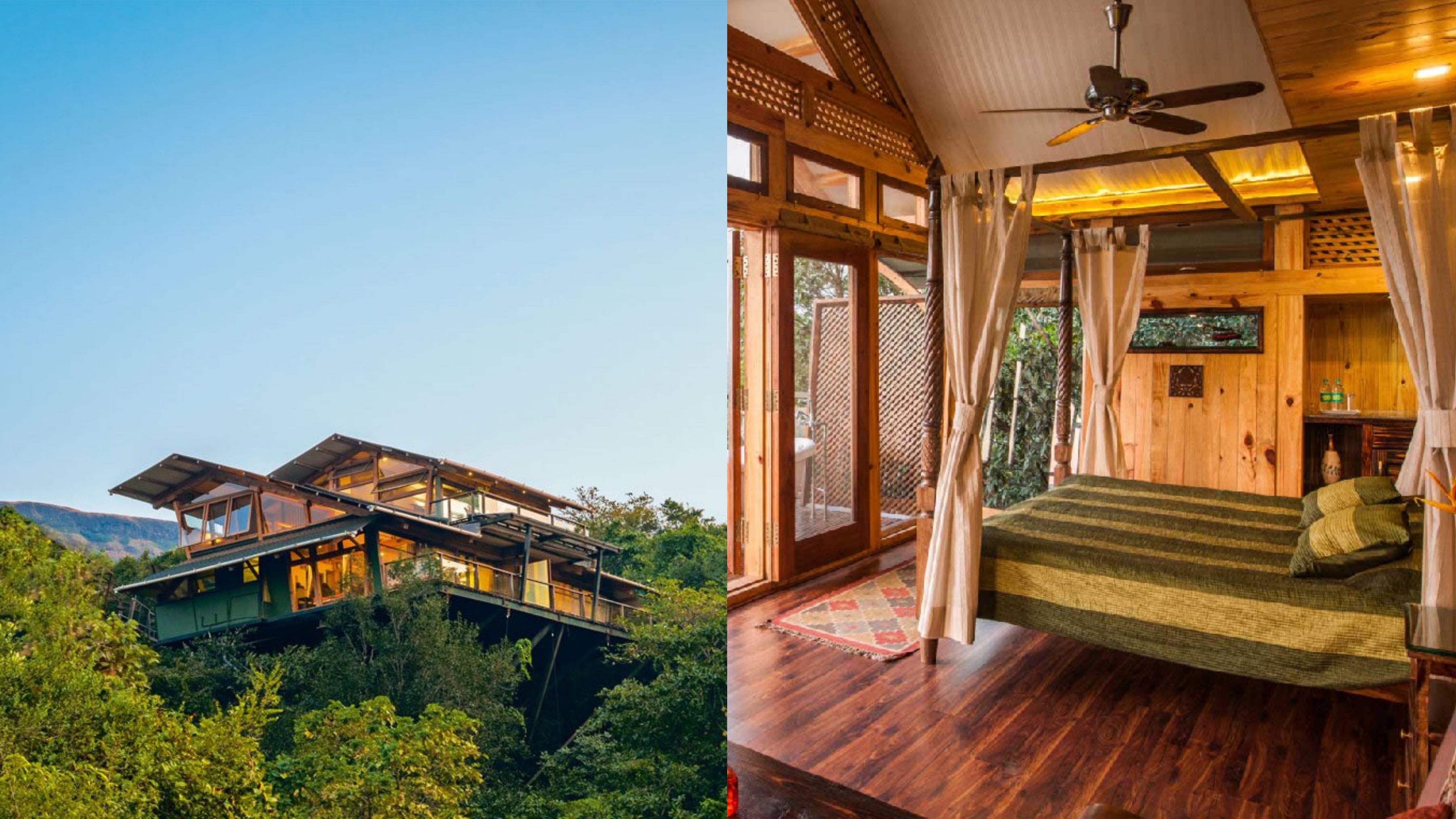 A cabin in the woods, Machan. - Tripoto