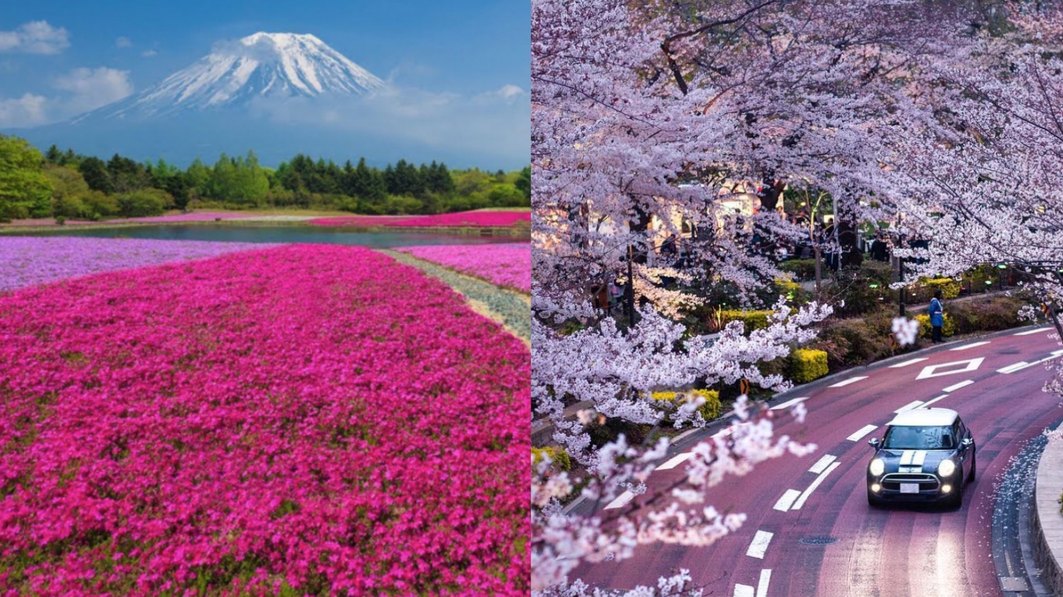 16 Pink Places You Need to Visit at Least Once in Lifetime - Tripoto