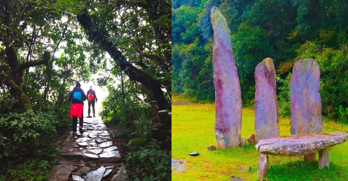 Mawphlang Sacred Forest: Witness Things Youve Never Seen Or Heard Of ...